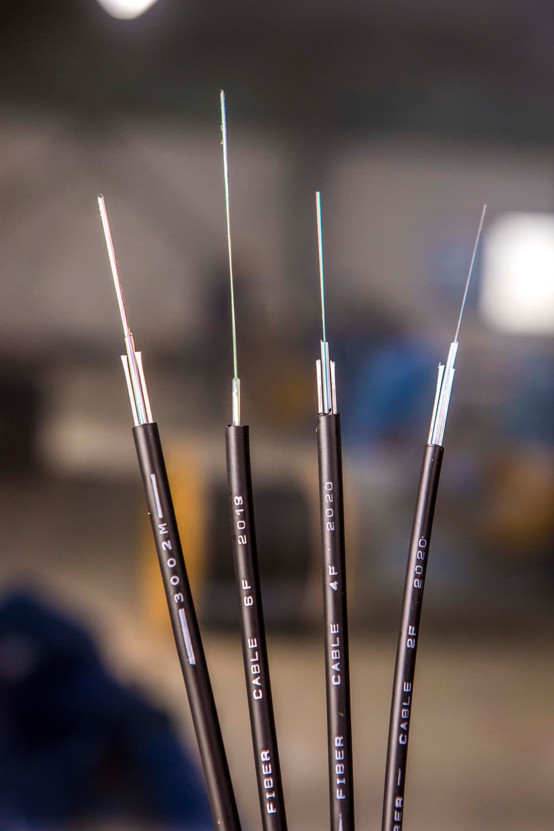 ABS Cables Ltd.